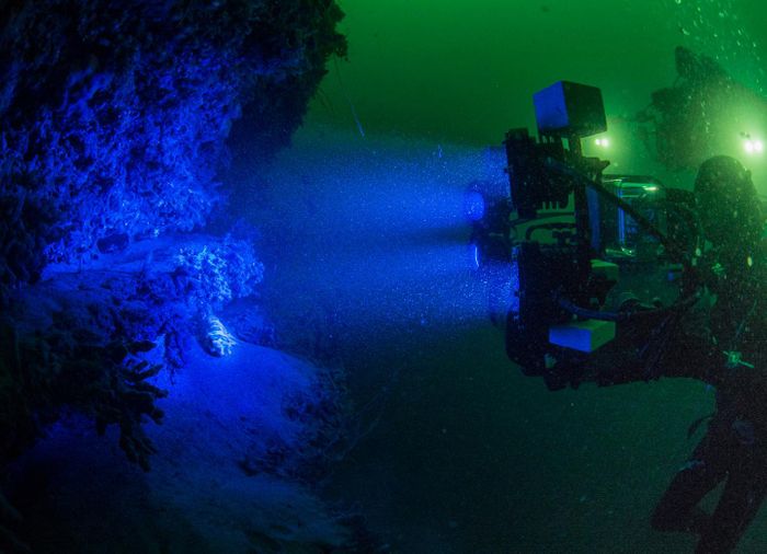 A New Type of Biofluorescence is Described | Cell And Molecular Biology