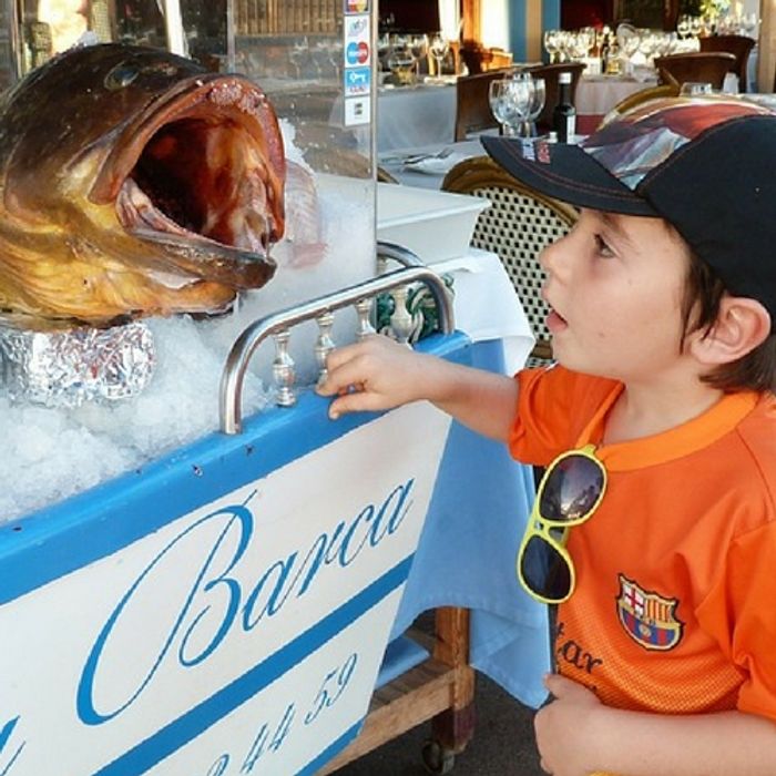 Can Eating Fish Make Children Smarter? | Neuroscience