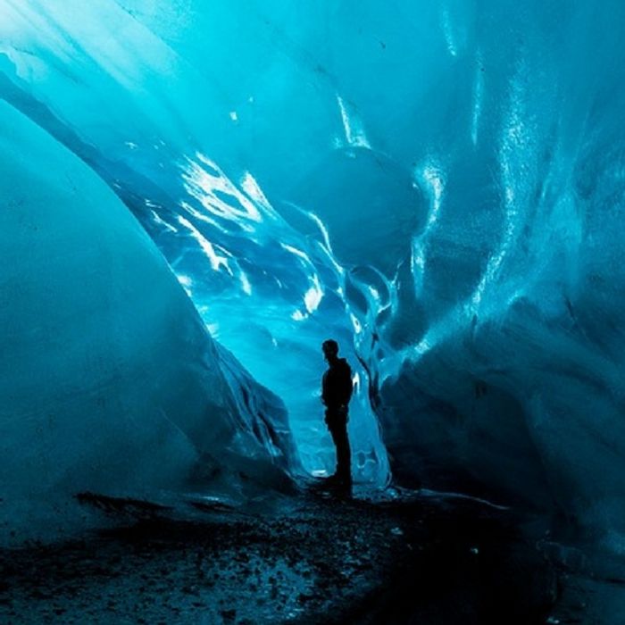 How The Iceman Survives Brutal Cold | Health And Medicine