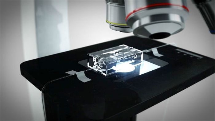 Doctors Model Metastasis in 3D with Mini-Organs on a Chip | Cancer