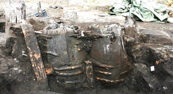 Thousand-Year-Old Poop Teaches us About an Ancient Parasite | Genetics ...