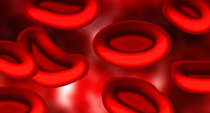 Red Blood Cells Could Help Predict Recovery in Cardiovascular Patients ...
