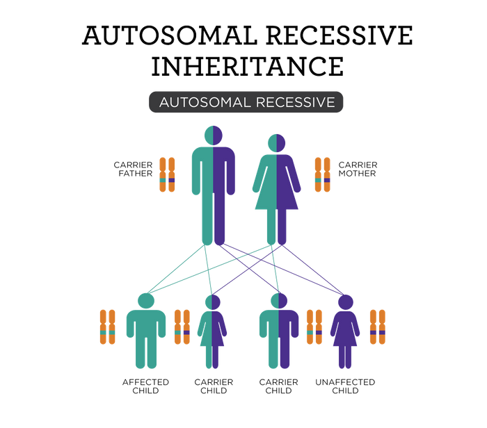 Scientists Discover New Recessive Disease | Health And Medicine