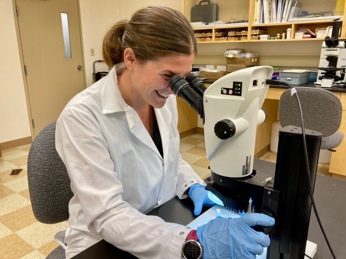 Grad Student Highlights: Rachel Kozloski (University of Nevada, Reno ...