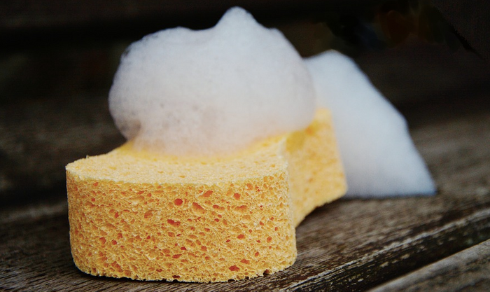 Can Harmful Bacteria be Effectively Removed From Sponges? | Microbiology