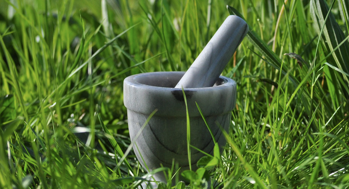 A Samoan Plant May Reduce Inflammation as Well as Ibuprofen | Plants ...