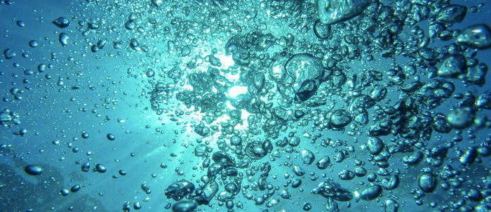 Unleashing the Genetic Power of Ocean Microbes | Microbiology