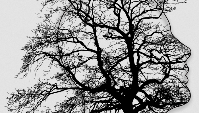 Visualizing and Understanding the Branching Growth of Neurons ...