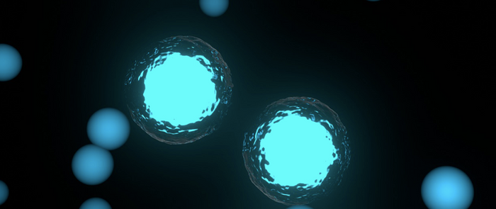 Some Immune Cells Have a Taste for Sugar | Immunology