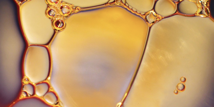 Using Microbes to Grow Modular Materials | Microbiology