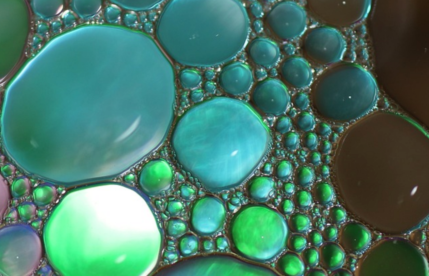 New Insights Into the Link Between Colon Cancer and a Bacterial Toxin ...