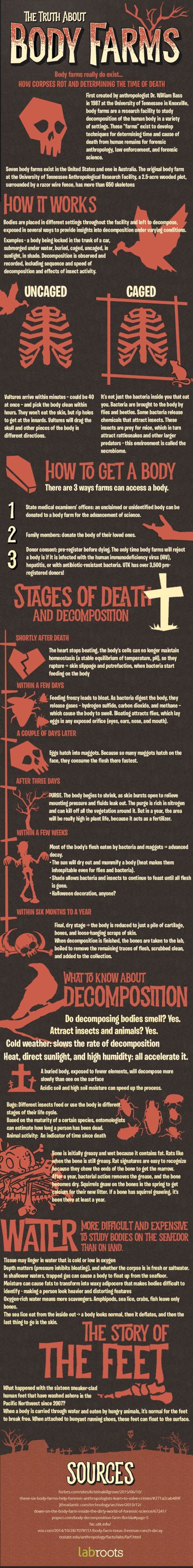 The Truth About Body Farms | Infographics