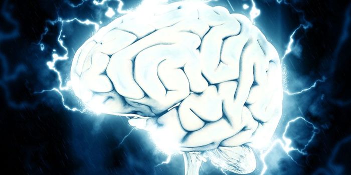 Brain Imaging Predicts Incidence of PTSD | Neuroscience