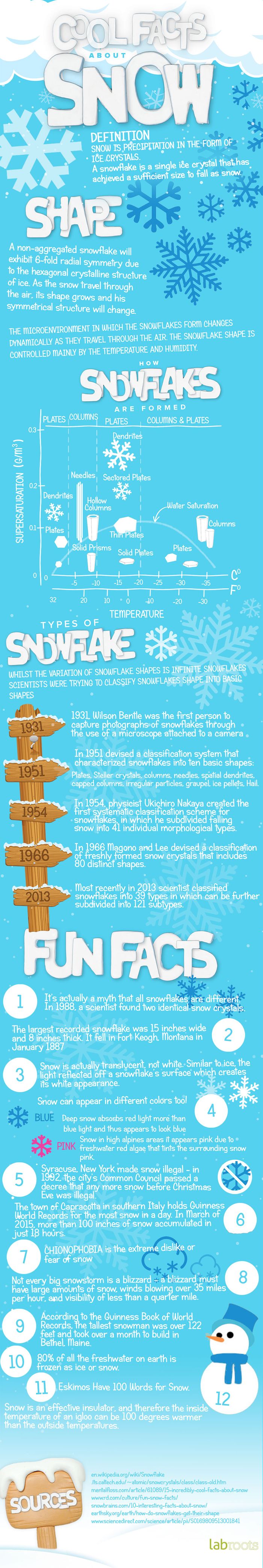 snowflakes inforgraphic | Infographics