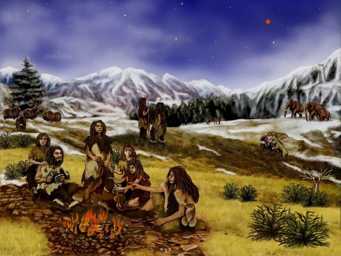 Neandertal genome gives insight into their social structure | Plants ...