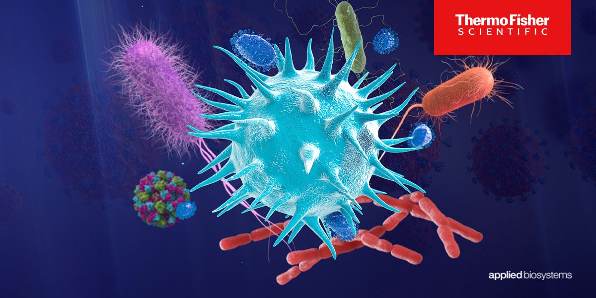 eyJidWNrZXQiOiJsYWJyb290cy1pbWFnZXMiLCJrZXkiOiJ3ZWJpbmFyX3Byb2ZpbGVfaW1 ...