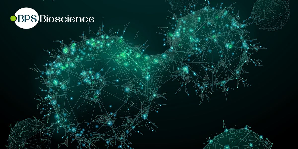 eyJidWNrZXQiOiJsYWJyb290cy1pbWFnZXMiLCJrZXkiOiJ3ZWJpbmFyX3Byb2ZpbGVfaW1 ...