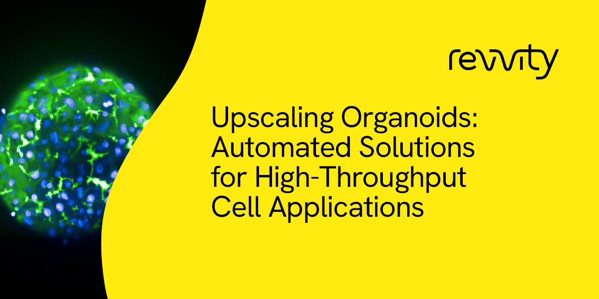 eyJidWNrZXQiOiJsYWJyb290cy1pbWFnZXMiLCJrZXkiOiJ3ZWJpbmFyX3Byb2ZpbGVfaW1 ...