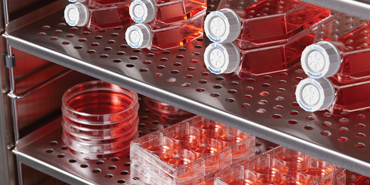 eyJidWNrZXQiOiJsYWJyb290cy1pbWFnZXMiLCJrZXkiOiJ3ZWJpbmFyX3Byb2ZpbGVfaW1 ...