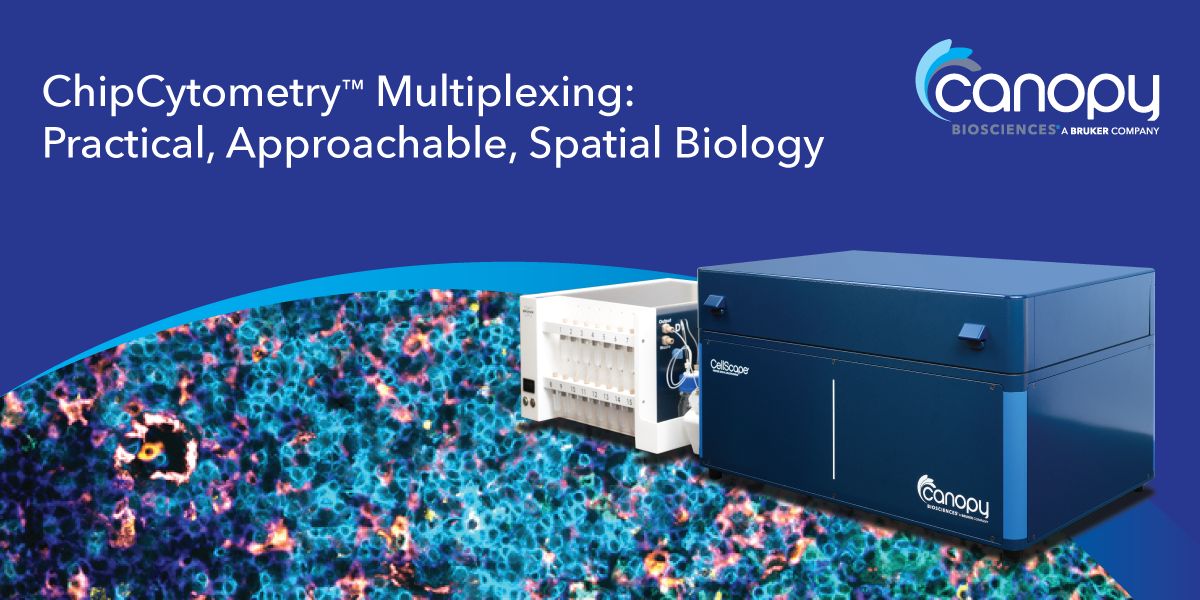 eyJidWNrZXQiOiJsYWJyb290cy1pbWFnZXMiLCJrZXkiOiJ3ZWJpbmFyX3Byb2ZpbGVfaW1 ...