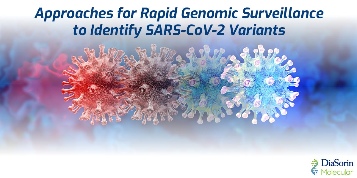 eyJidWNrZXQiOiJsYWJyb290cy1pbWFnZXMiLCJrZXkiOiJ3ZWJpbmFyX3Byb2ZpbGVfaW1 ...