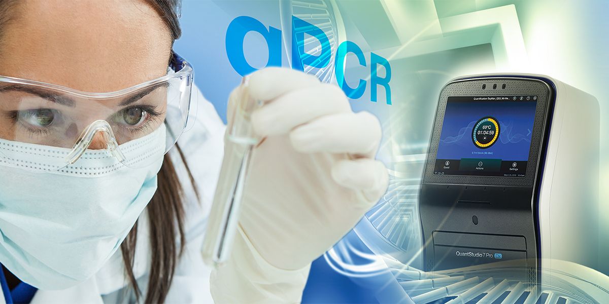 eyJidWNrZXQiOiJsYWJyb290cy1pbWFnZXMiLCJrZXkiOiJ3ZWJpbmFyX3Byb2ZpbGVfaW1 ...