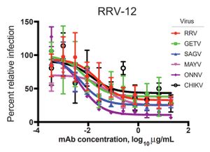 RSV Inhibitor VP-14637 | Science Company | Labroots