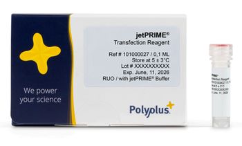 jetPRIME® DNA/siRNA (co-) transfection | Science Company | Labroots