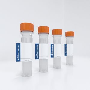 Anti-FITC scFv h(CD28-41BB-CD3ζ) CART, pCDCAR1 | Science Company | Labroots