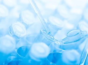 ENPP5 ORF Vector | Science Company | Labroots