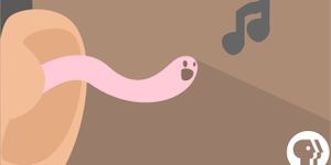 Capturing the Transport of Cargo Into Cells | Cell And Molecular Biology