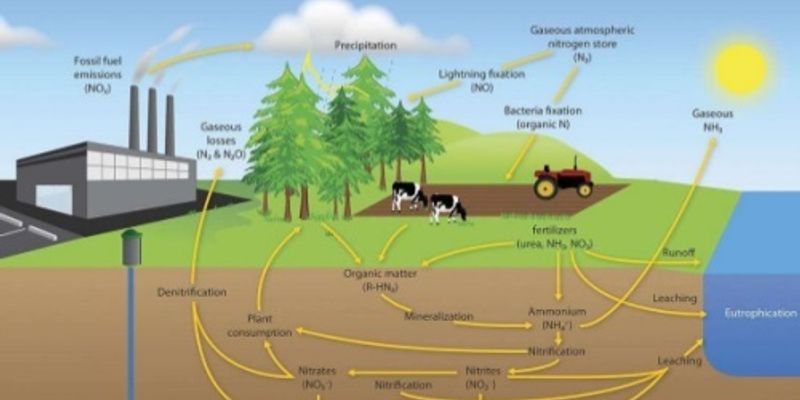 Environmental Chemistry | Trending