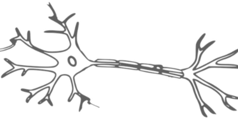 Dendritic Arborization | Virtual Events