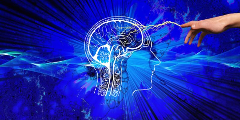 neuroanthropology | | Content Tag