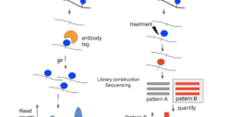 Epitranscriptomics | | Content Tag